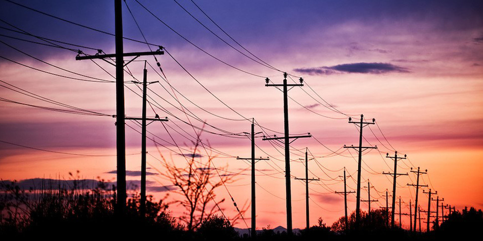 Pole Life Systems – Electric Wood Pole Asset Management System
